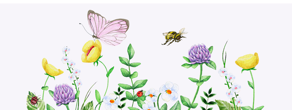 Florist Erith | Flower Delivery by Buds of May Tel:01322 333 696